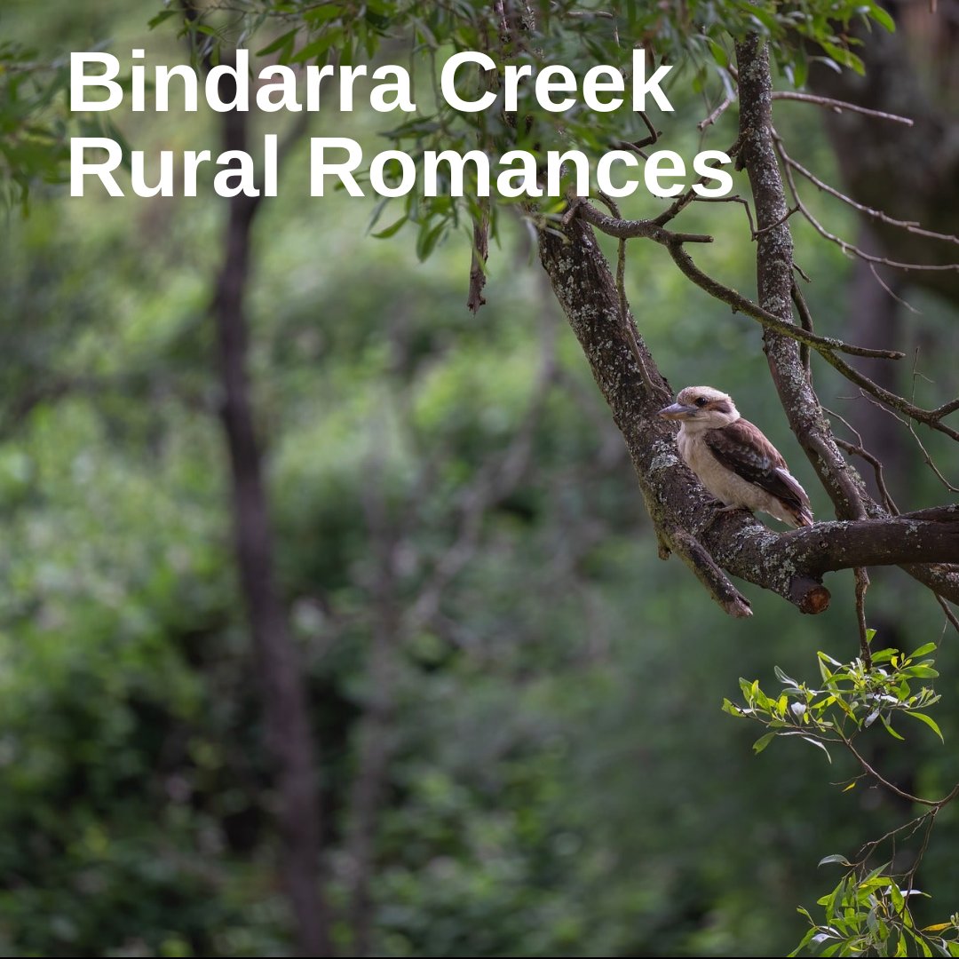 Bindarra Creek – Phillipa Nefri Clark